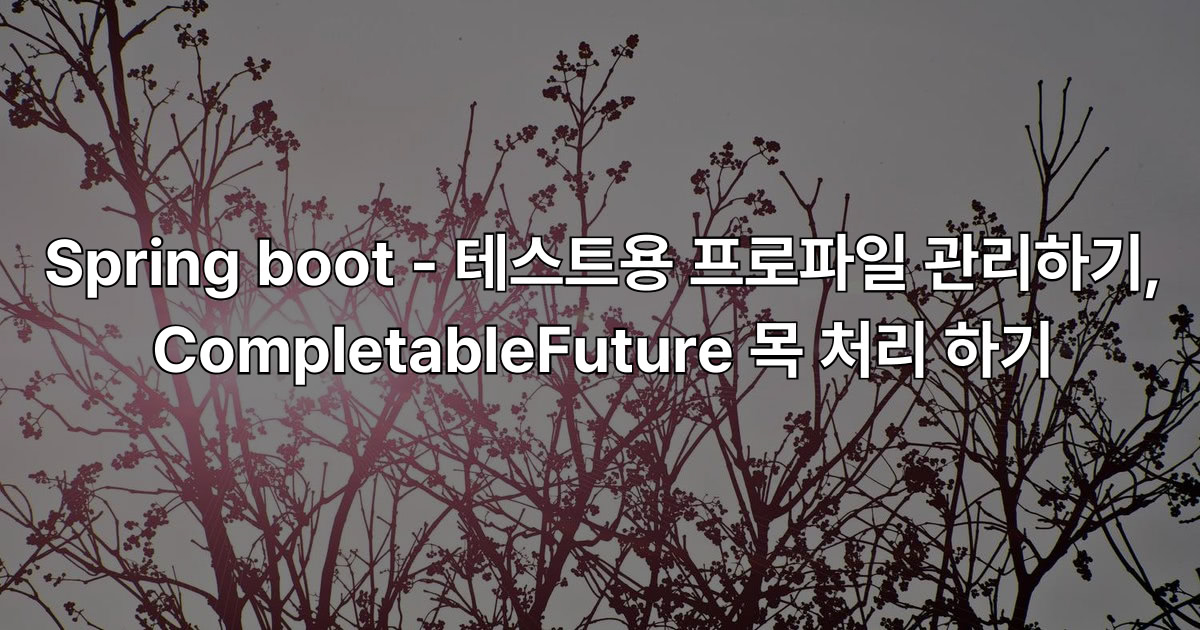 Spring Boot 테스트용 프로파일 관리하기 Completablefuture 목 처리 하기 박종훈 기술블로그