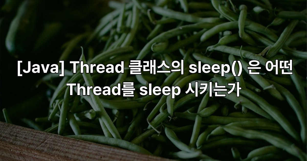 [Java] Thread 클래스의 sleep() 은 어떤 Thread를 sleep 시키는가 - 박종훈 기술블로그