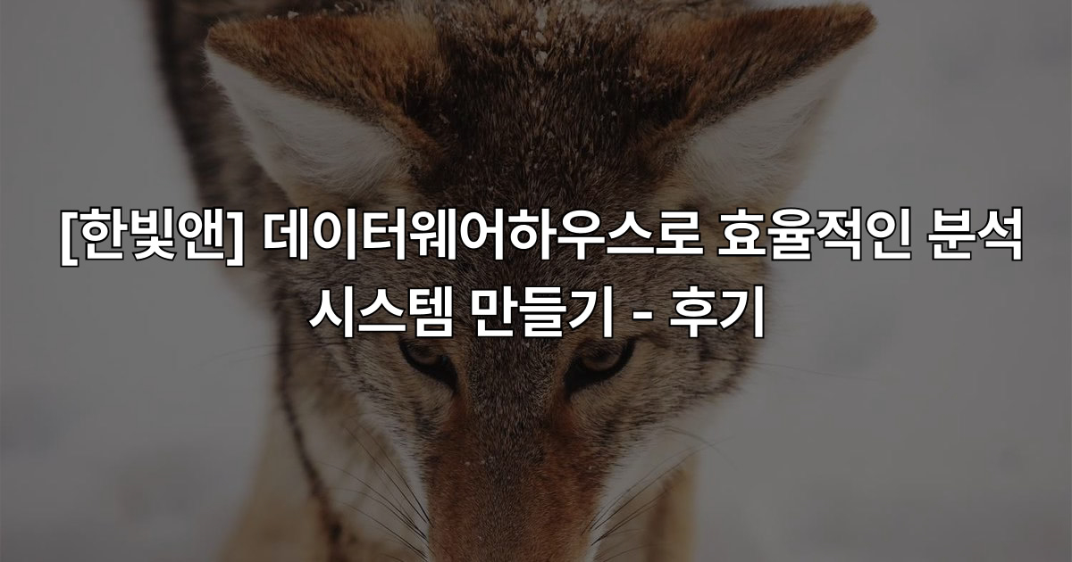 한빛앤 데이터웨어하우스로 효율적인 분석 시스템 만들기 후기 박종훈 기술블로그